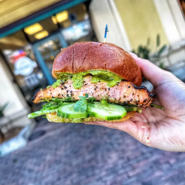 Wild-Caught Salmon Sandwich | Cloud 9 Deli